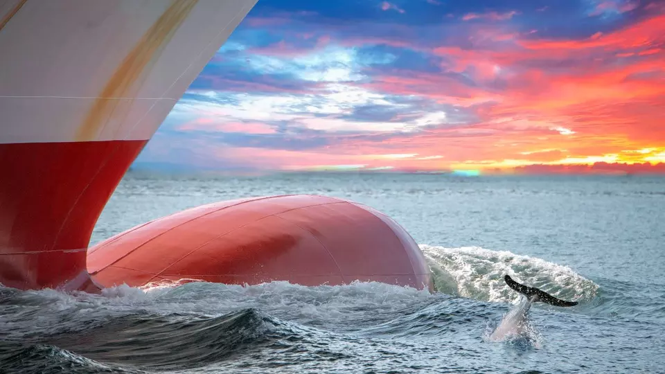 Marine Insulation | Offshore Insulation | ISOVER Technical Insulation